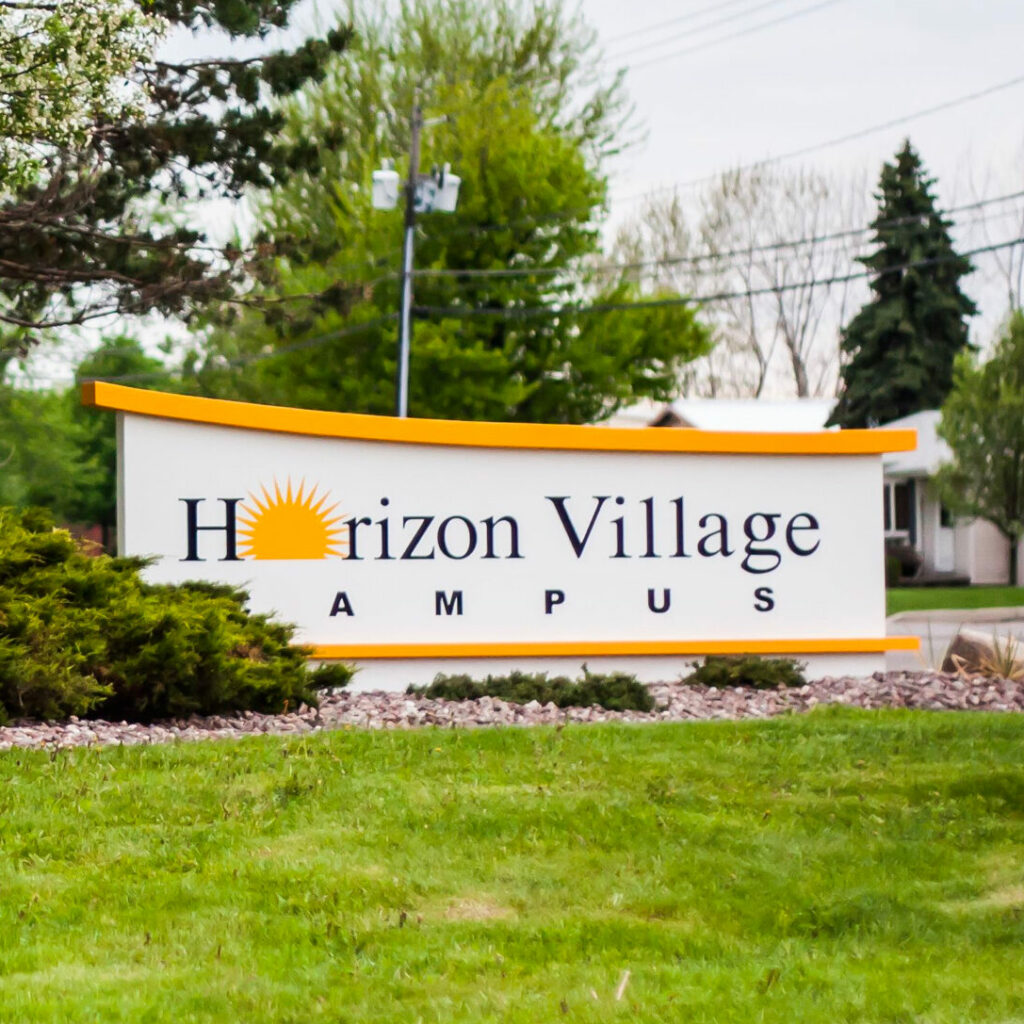 Our Services | Horizon Health Services | WNY